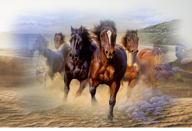 Pferde Pferderennen Galopp - Kostenloses Bild auf Pixabay - Pixabay