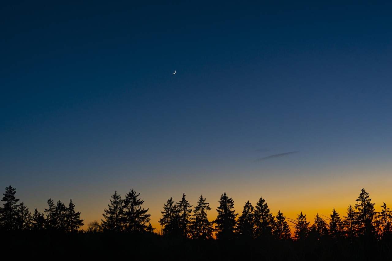 100+ Free Moonrise & Moon Images - Pixabay