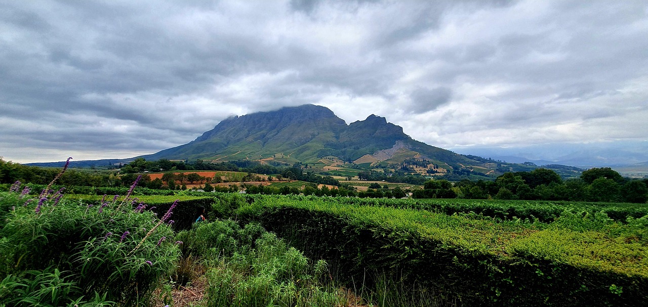 5.000+ kostenlose Tokara Estate & Real Estate Fotos - Pixabay