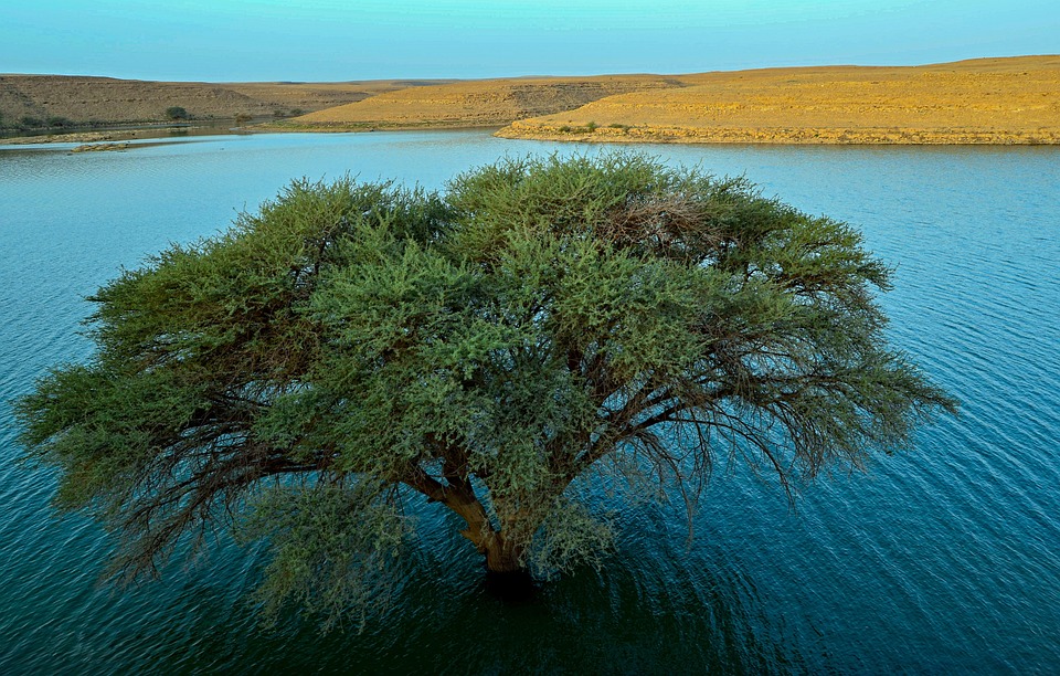 Top Attractions in Riyadh: A Comprehensive Guide - Your Travel Buddy