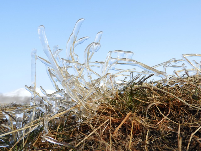 10,000+ Free Freezing Rain & Nature Images - Pixabay