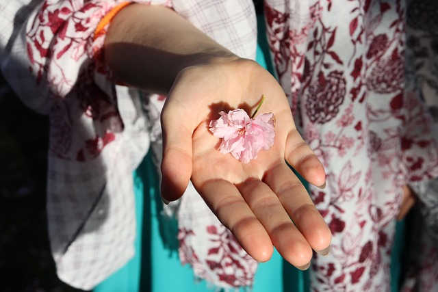 Blossom Hand Spring - Free photo on Pixabay - Pixabay