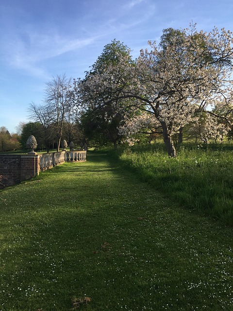 English Garden Blossom Spring - Free photo on Pixabay