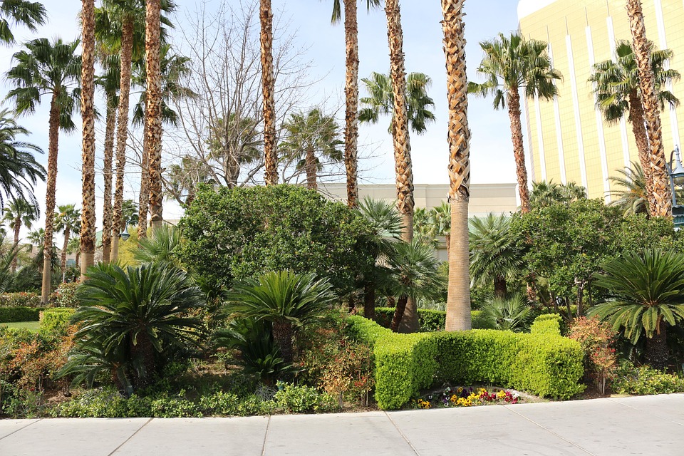 Las Vegas Jardin - Photo gratuite sur Pixabay - Pixabay