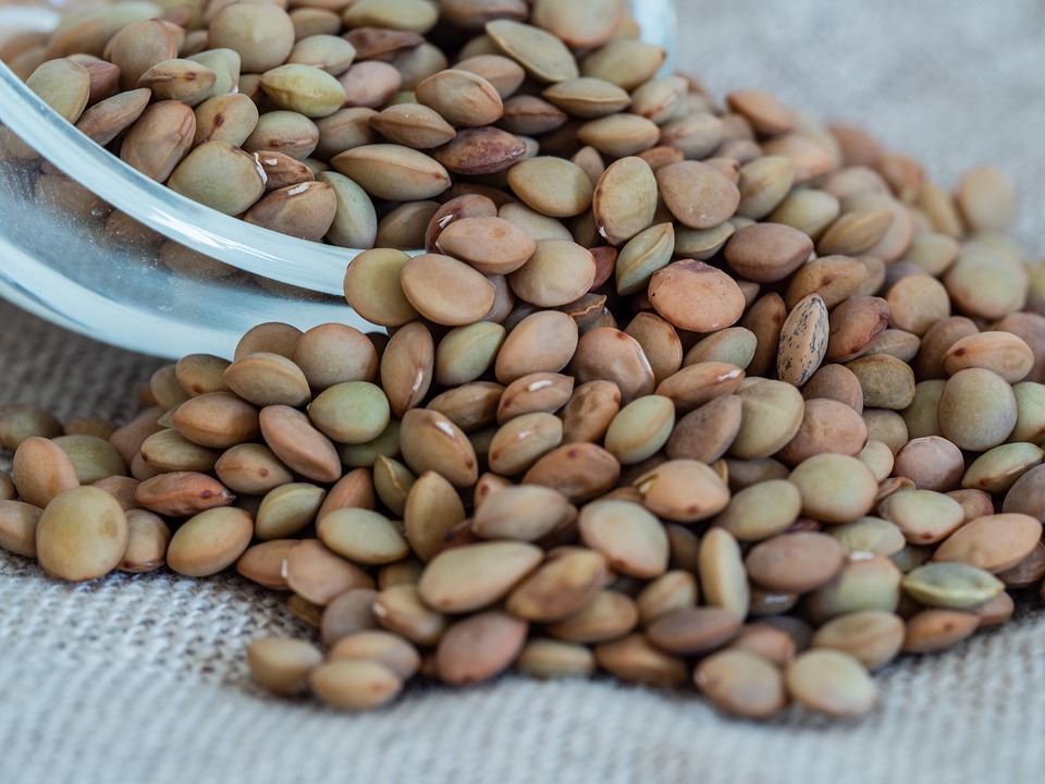 Lentil Foodstuff Beige - Free photo on Pixabay