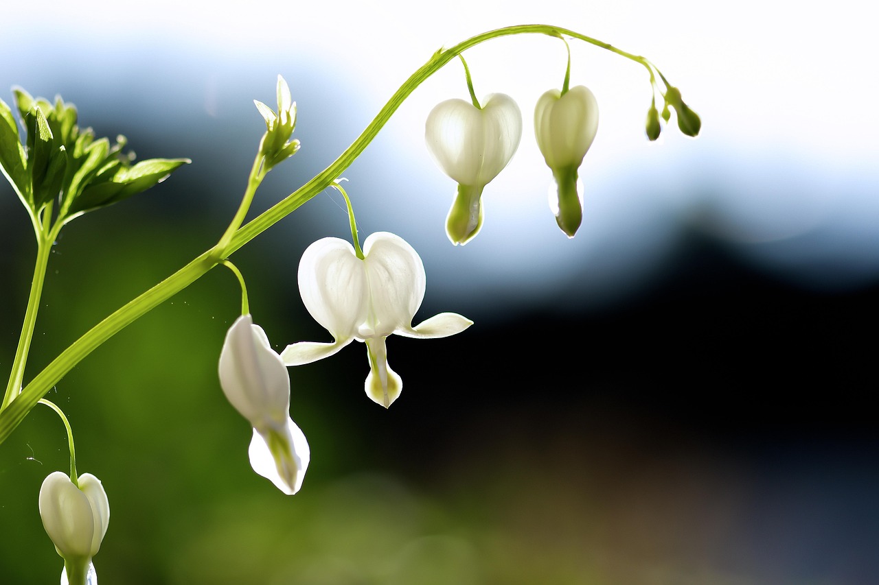 20,000+ Free Crying Heart & Crying Images - Pixabay