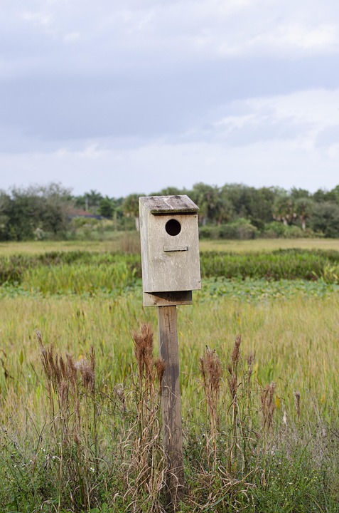 Birdhouse Nature Preserve - Free photo on Pixabay - Pixabay