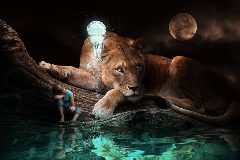 Lion Animal Afrique - Photo gratuite sur Pixabay - Pixabay