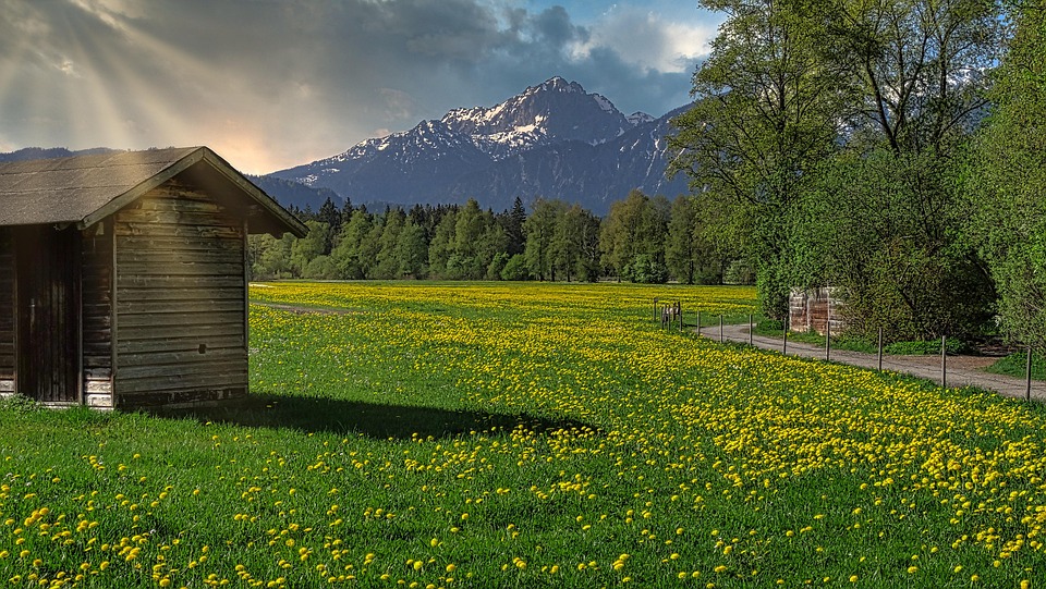 Allgäu Almwiese Weide - Kostenloses Foto auf Pixabay