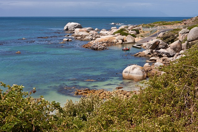 20+ Free False Bay & Cape Town Images - Pixabay