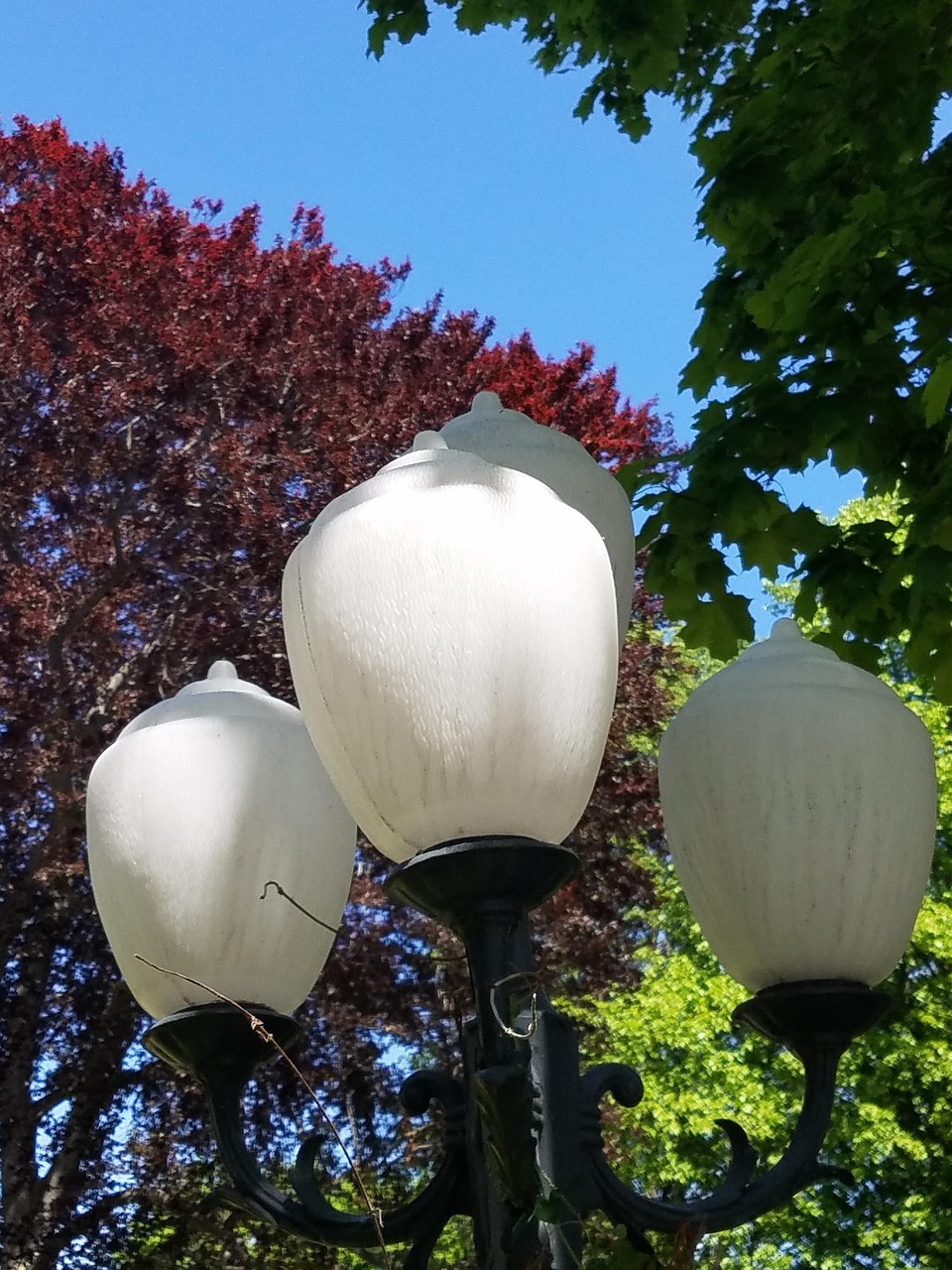 Glas Gatlyktor Ljus - Gratis foto på Pixabay