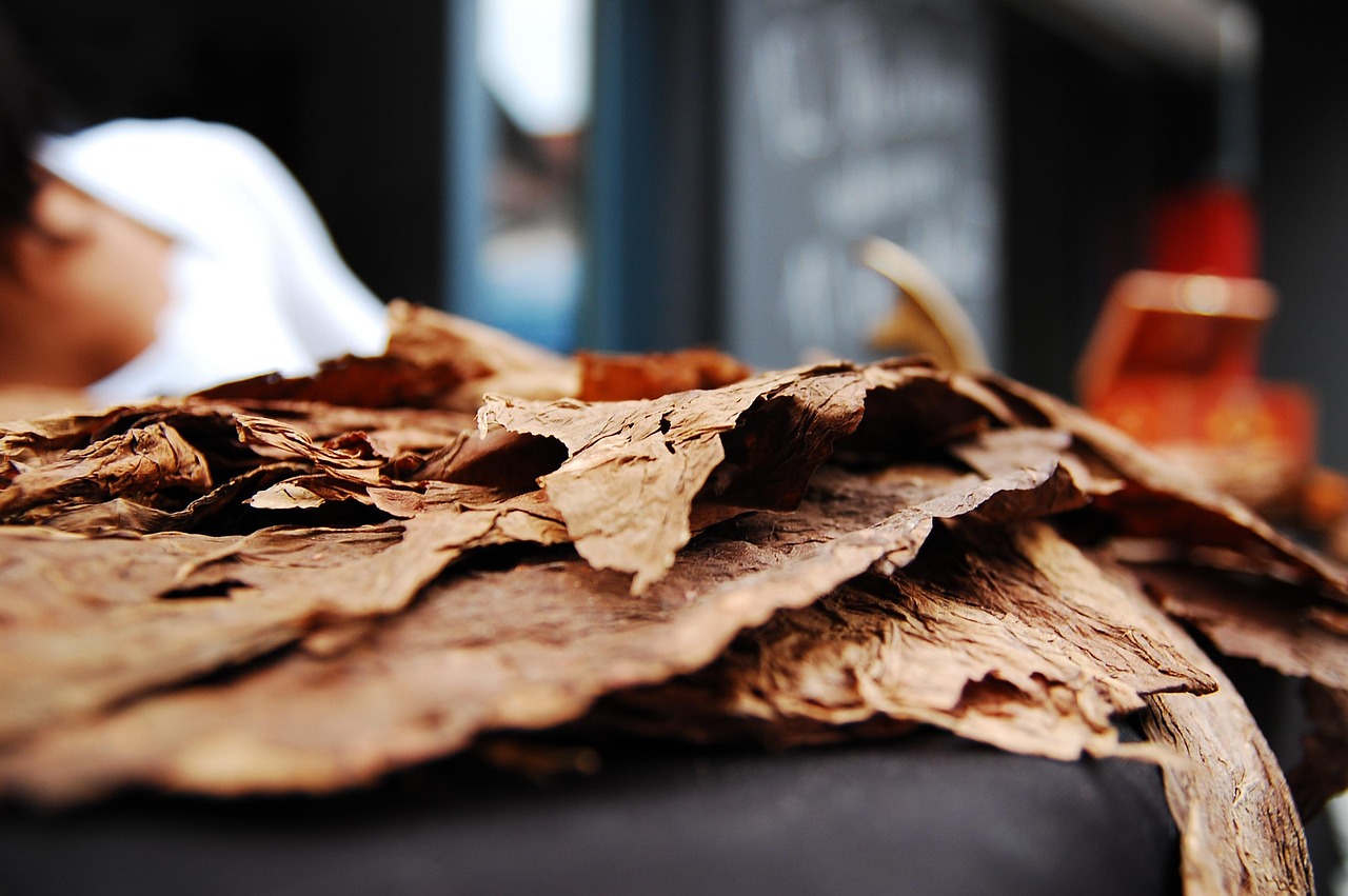 Plus de 900 images de Tabac et de Le Tabac - Pixabay