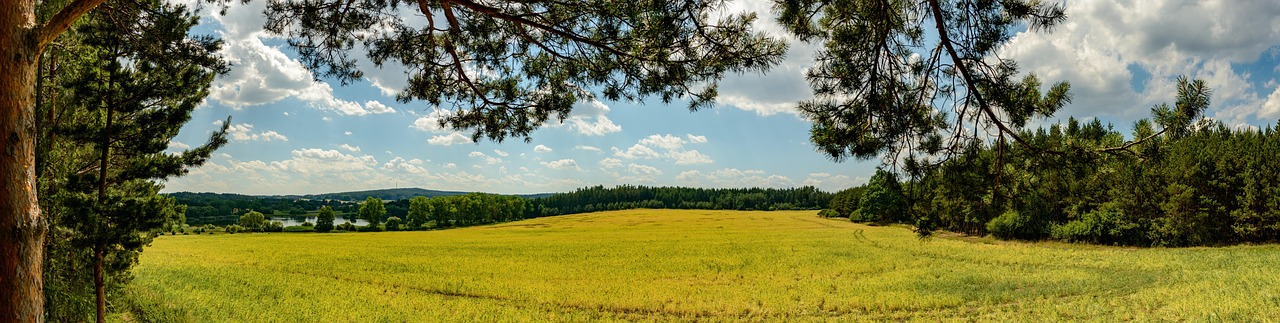 Nature Country Field - Free photo on Pixabay - Pixabay