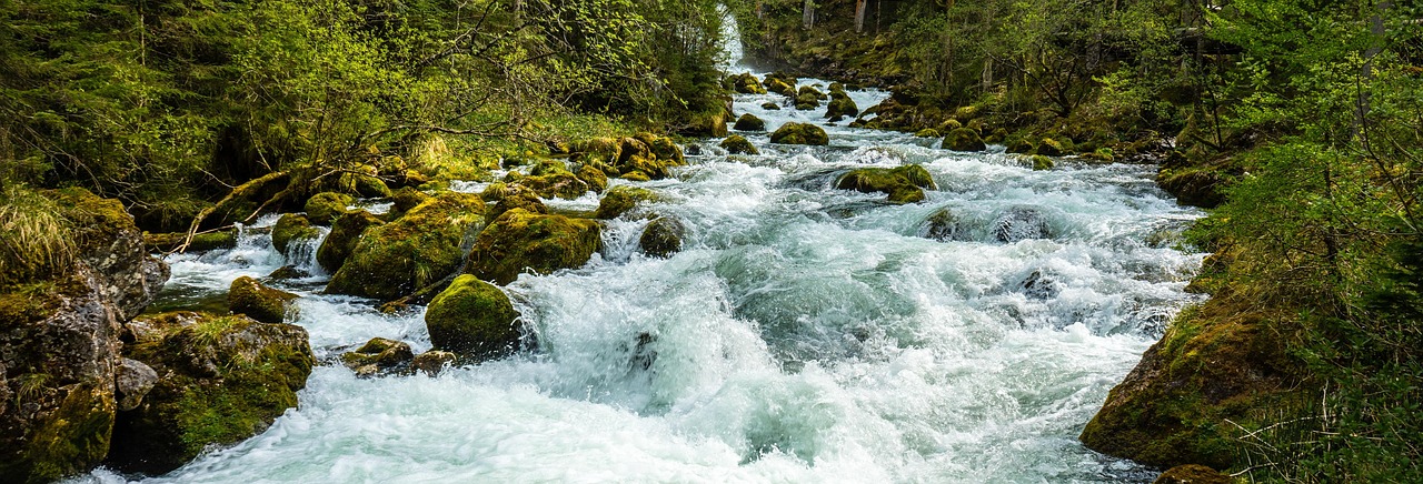 100+ Free Rapid Waterfall & Waterfall Images - Pixabay