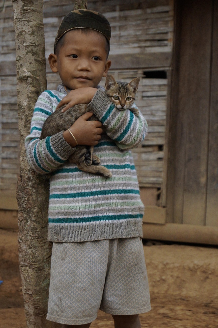 Asien Laos Junge Mit Katze - Kostenloses Foto auf Pixabay - Pixabay