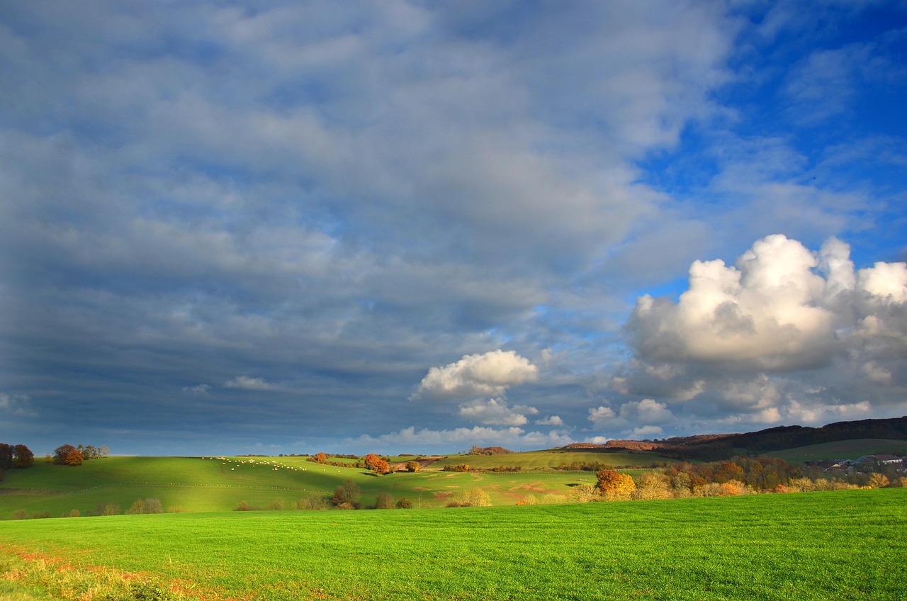Countryside Cow Pasture - Free photo on Pixabay - Pixabay