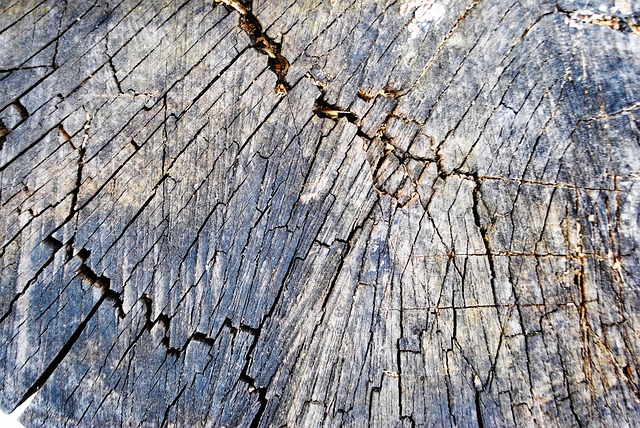 Bois Abstrait Fissure - Photo gratuite sur Pixabay - Pixabay
