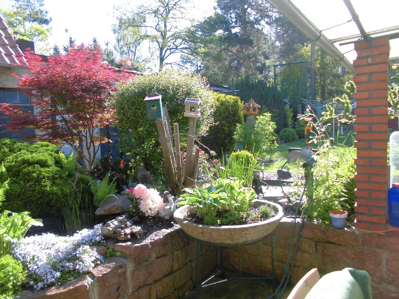 Garden Plants - Free photo on Pixabay - Pixabay