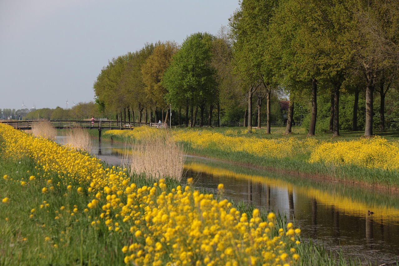 10,000+ Free Dry Canal & Venice Images - Pixabay