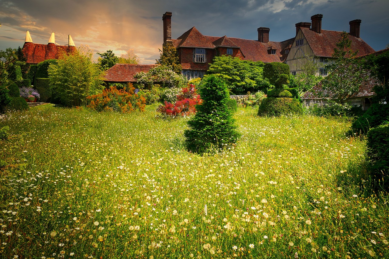 Flower Meadow Grass - Free photo on Pixabay