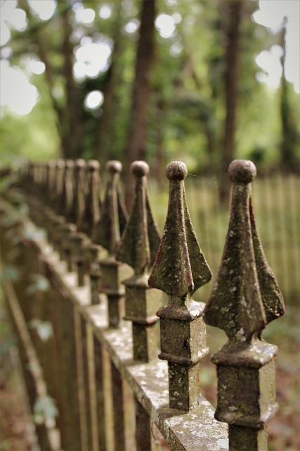 Ferro Cerca Ornamentado - Foto gratuita no Pixabay - Pixabay