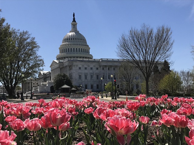 Washington Capital - Foto gratuita no Pixabay - Pixabay