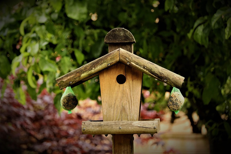 Feeding Place Bird Garden - Free photo on Pixabay