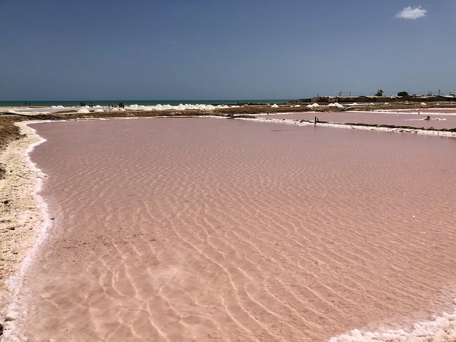 Colômbia Rosa Água - Foto gratuita no Pixabay - Pixabay