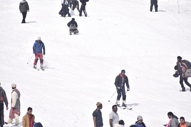 Snow Skiing People - Free photo on Pixabay