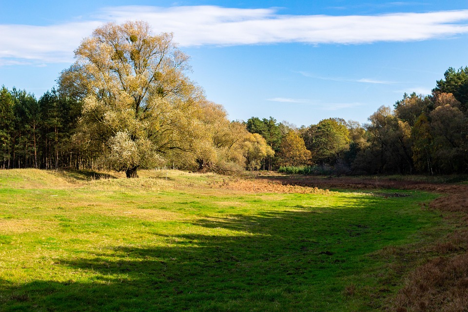 Paysage Le Printemps Prairie - Photo gratuite sur Pixabay - Pixabay