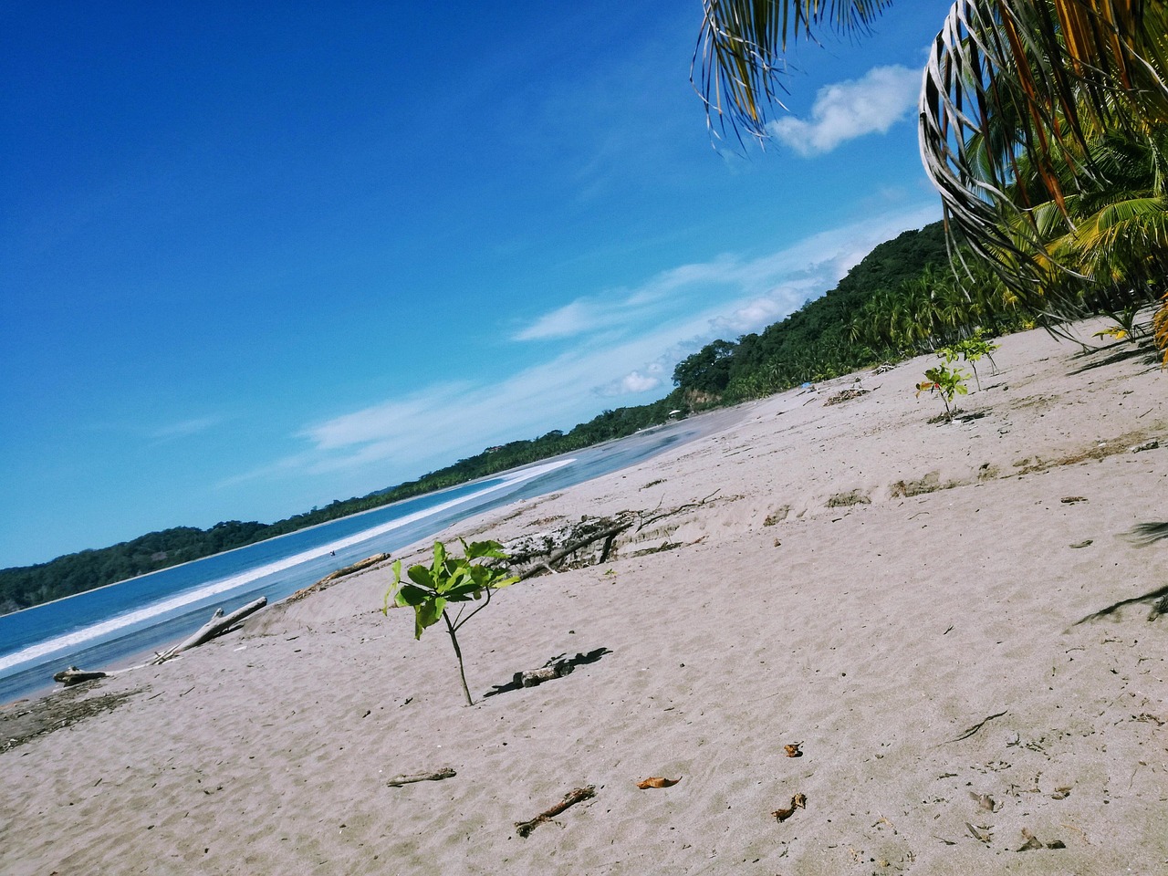 Costa Rica Plage Arena - Photo gratuite sur Pixabay - Pixabay