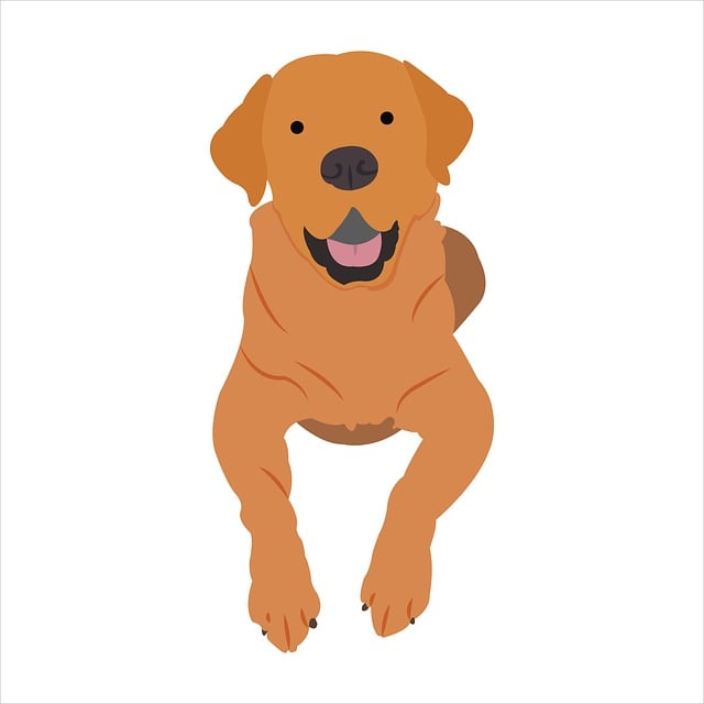 40,000+ Free Dog Clip Art & Dog Images - Pixabay