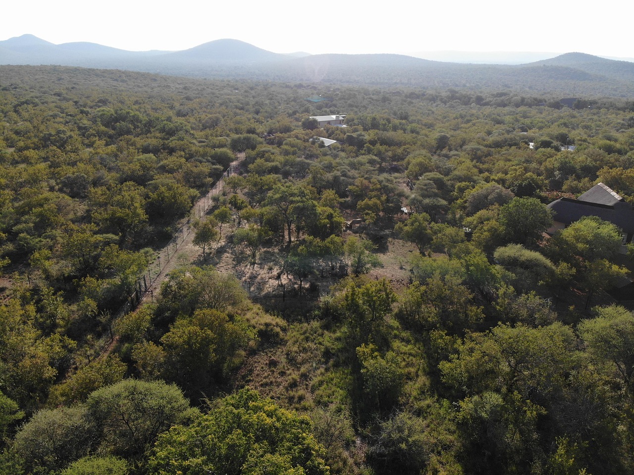 Bush Africa Aerial - Free photo on Pixabay - Pixabay