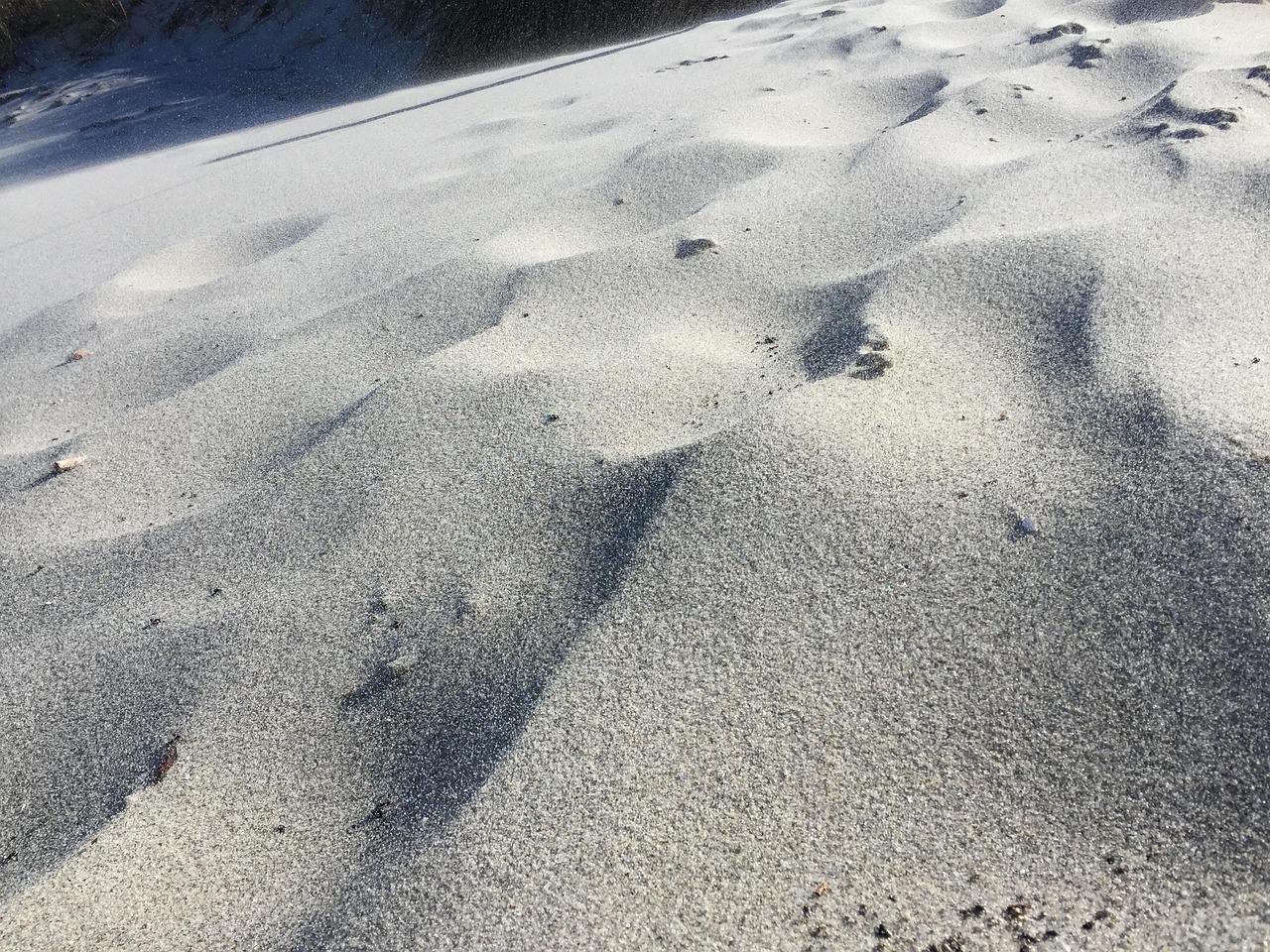 North Sea Sand Dunes - Free photo on Pixabay - Pixabay