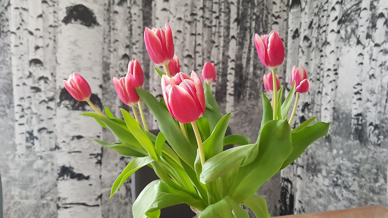 Tulip Seikat Bunga - Foto gratis di Pixabay - Pixabay