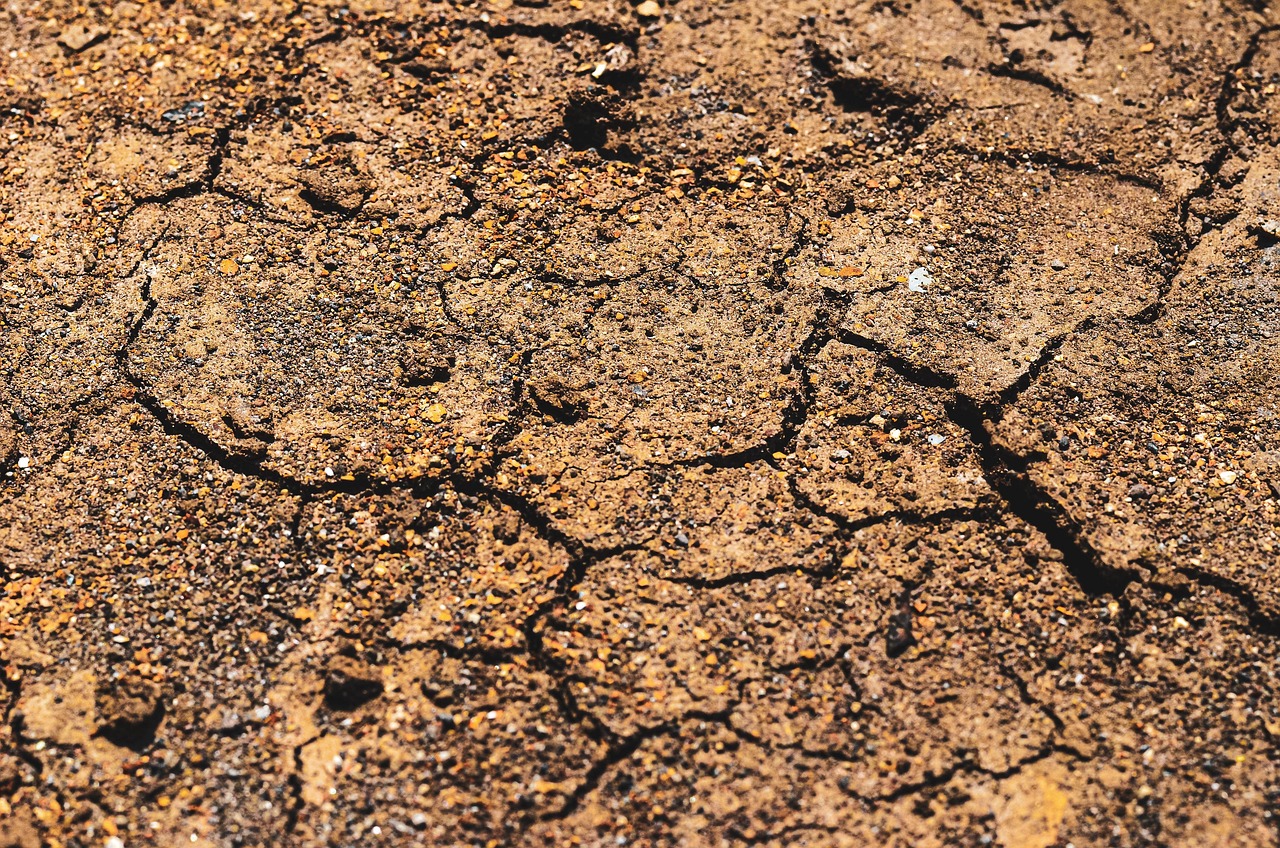 200+ Free Earthquake & Disaster Images - Pixabay