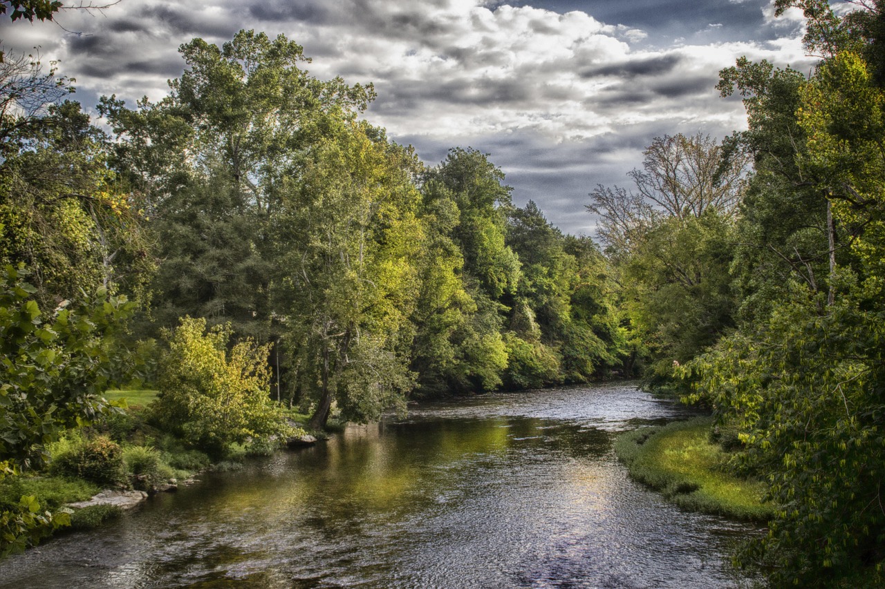 L'Eau Fleuve Nature - Photo gratuite sur Pixabay - Pixabay