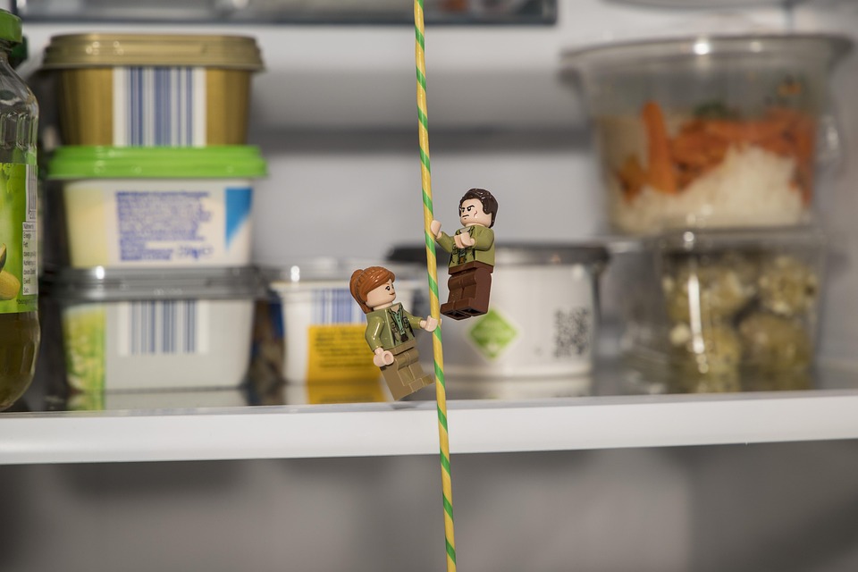 Food Refrigerator Climber - Free photo on Pixabay - Pixabay