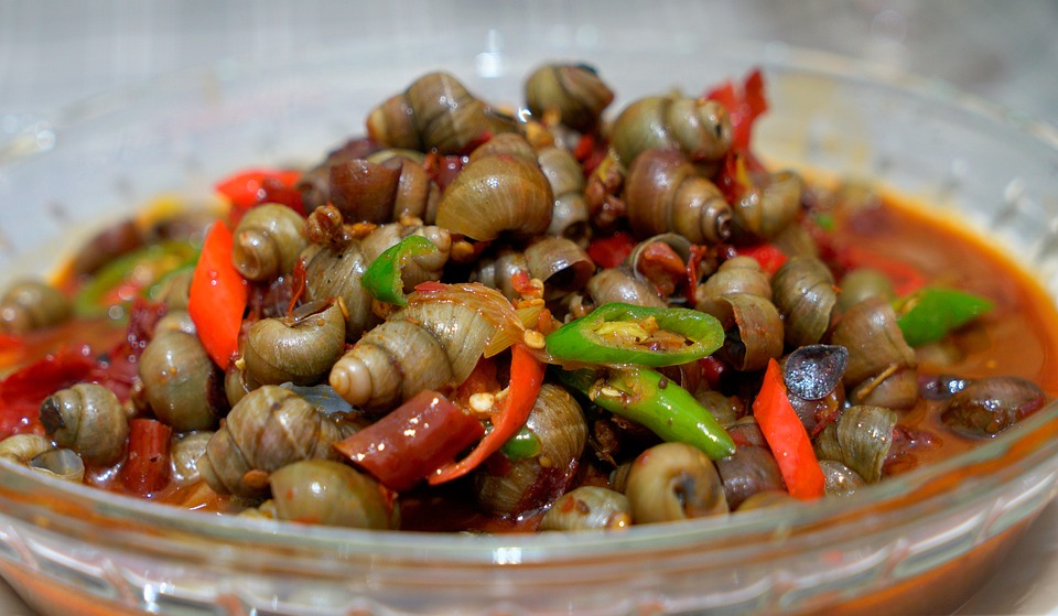 Food Snails - Pixabay上的免费照片 - Pixabay