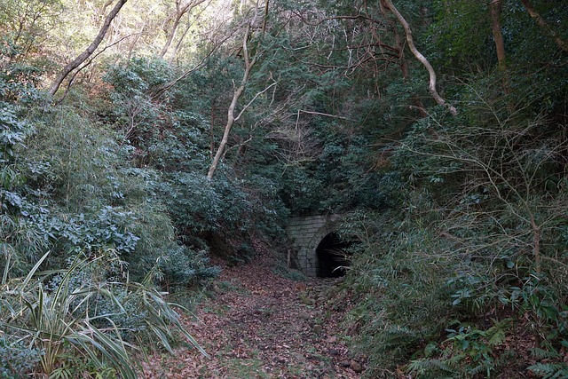 Tunnel Berg Natur - Kostenloses Foto auf Pixabay - Pixabay