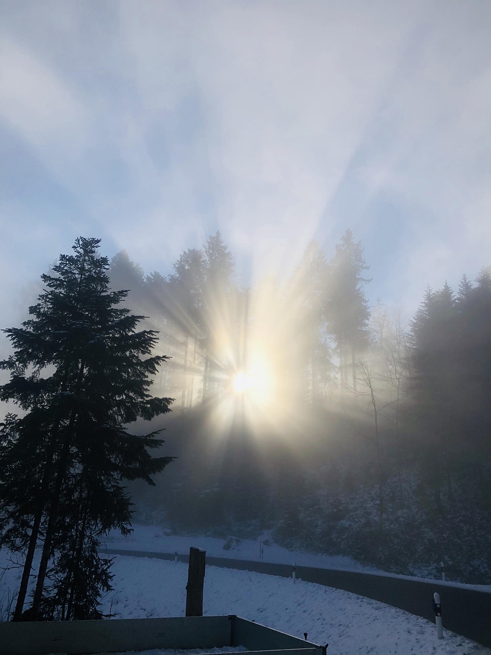 Winter Mood Sun Behind Fog - Free photo on Pixabay - Pixabay