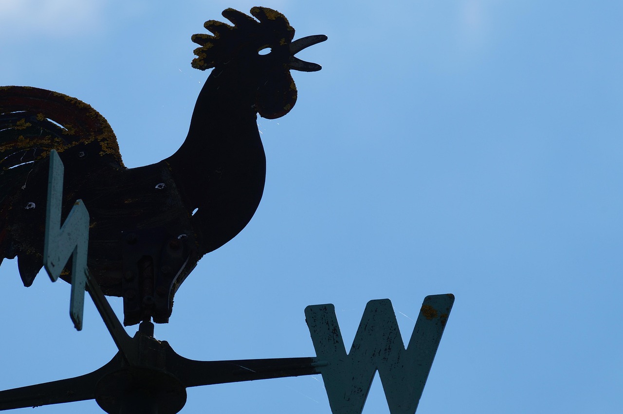 Weathercock Cardinal Points - Free photo on Pixabay - Pixabay