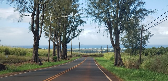 Hawaiioahu Havaí - Foto gratuita no Pixabay - Pixabay