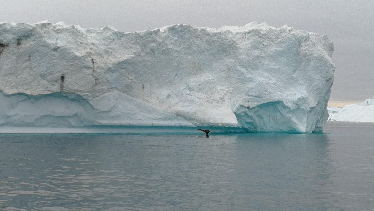 Iceberg La Glace Mer - Photo gratuite sur Pixabay - Pixabay