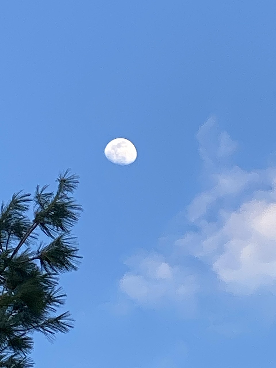 Himmel Mond Mondlicht - Kostenloses Foto auf Pixabay - Pixabay