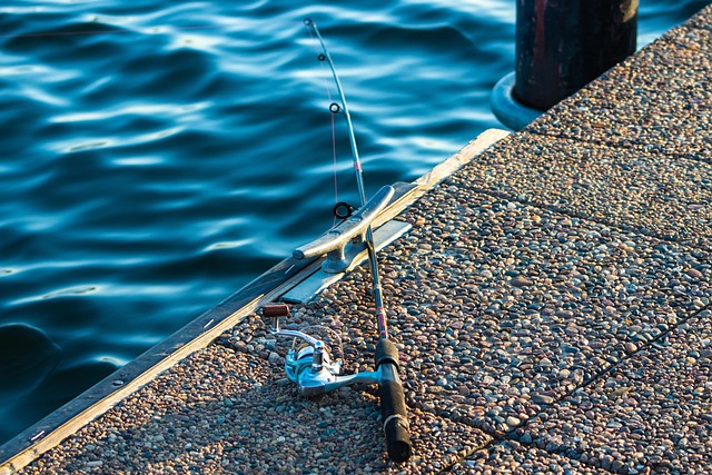 10,000+ Free Fishing Pole & Fishing Images - Pixabay