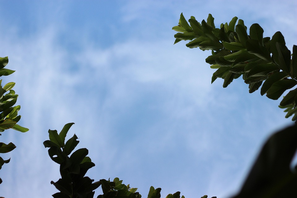 Sky-Blue Sky Himmel Baggrund - Gratis foto på Pixabay - Pixabay
