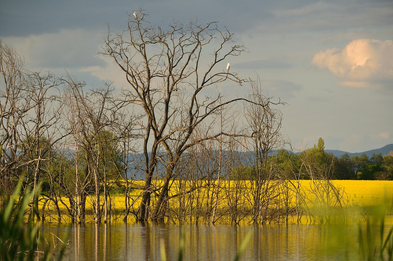 Lake Nature Water - Free photo on Pixabay