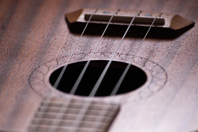Ukulele Music Love - Free photo on Pixabay