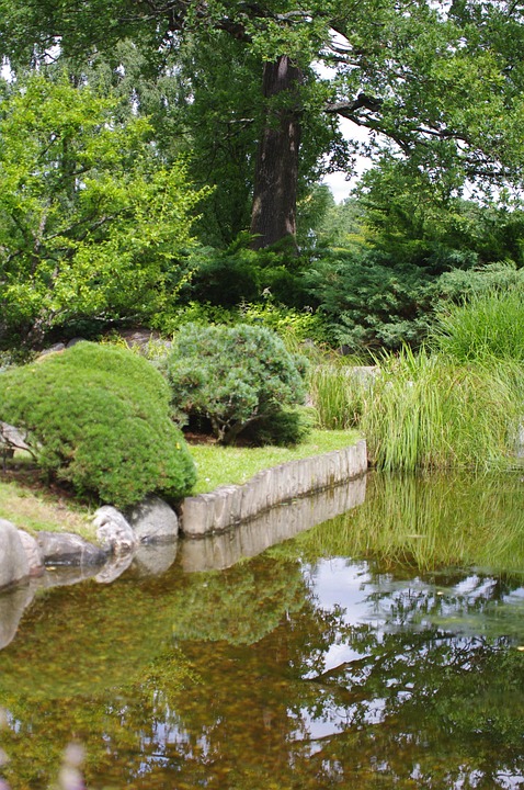 Water Stream Outside - Free photo on Pixabay - Pixabay